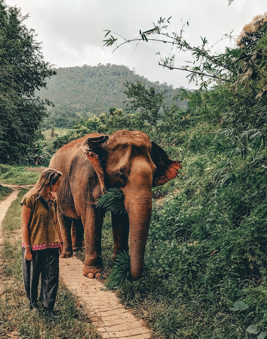How To Save Money in Southeast Asia - Real World Runaway